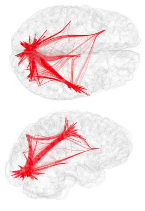 Abstract: Georg Langs